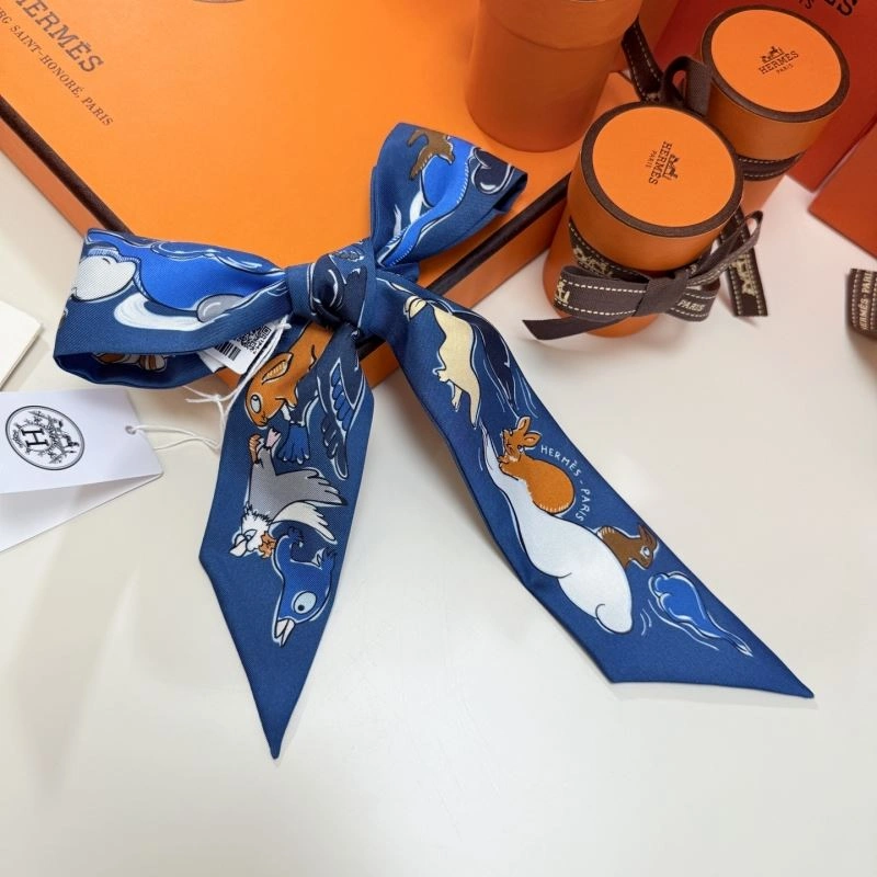 Discounted Hermes Silk