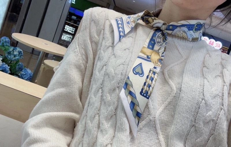 Hermes Silk