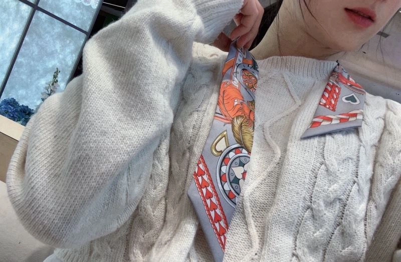 Hermes Silk