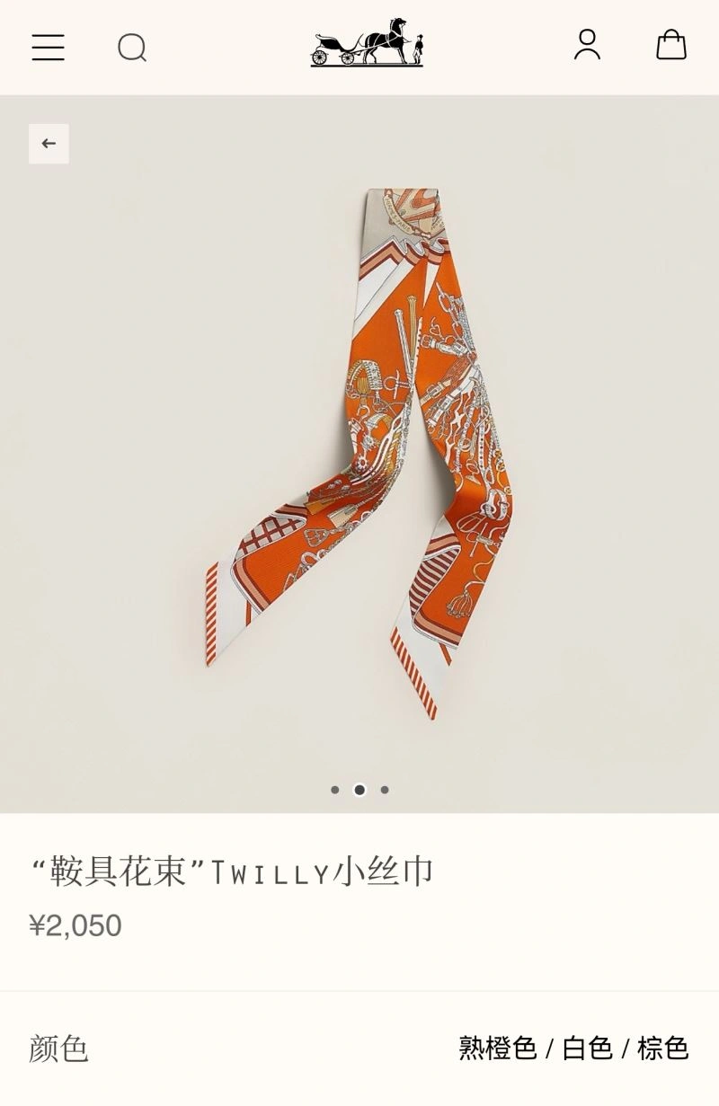 Hermes Silk