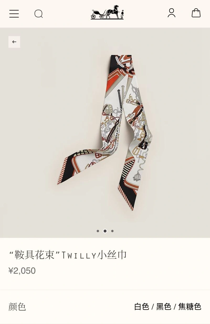 Hermes Silk