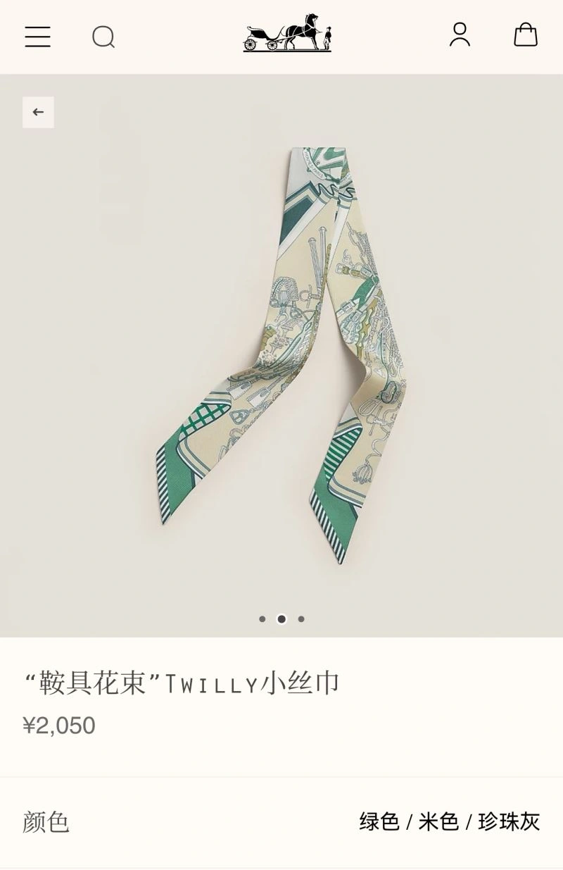Hermes Silk