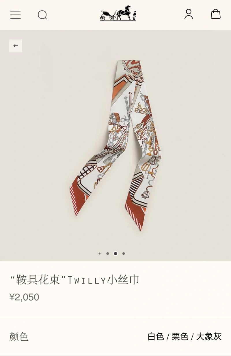 Hermes Silk