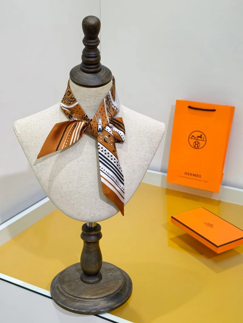 Legit Hermes Silk