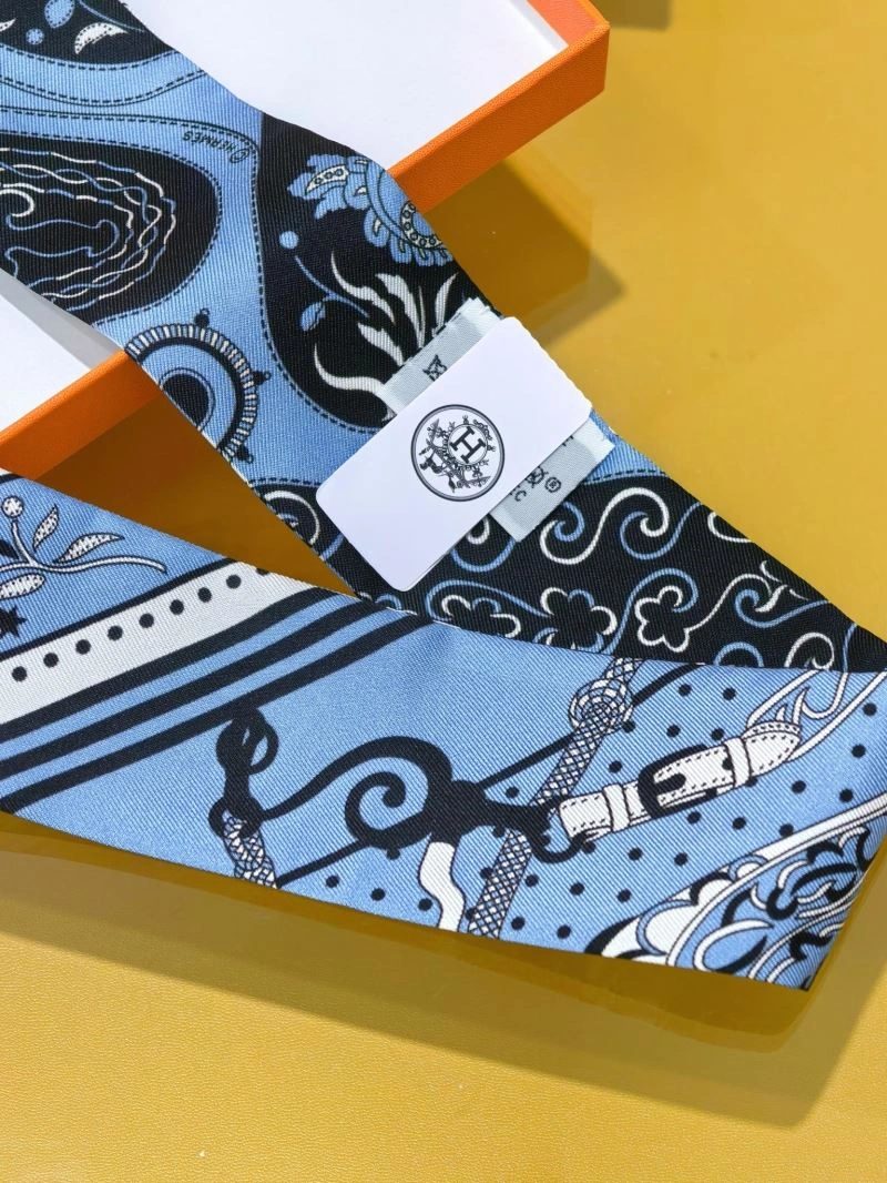 Cut-rate Hermes Silk