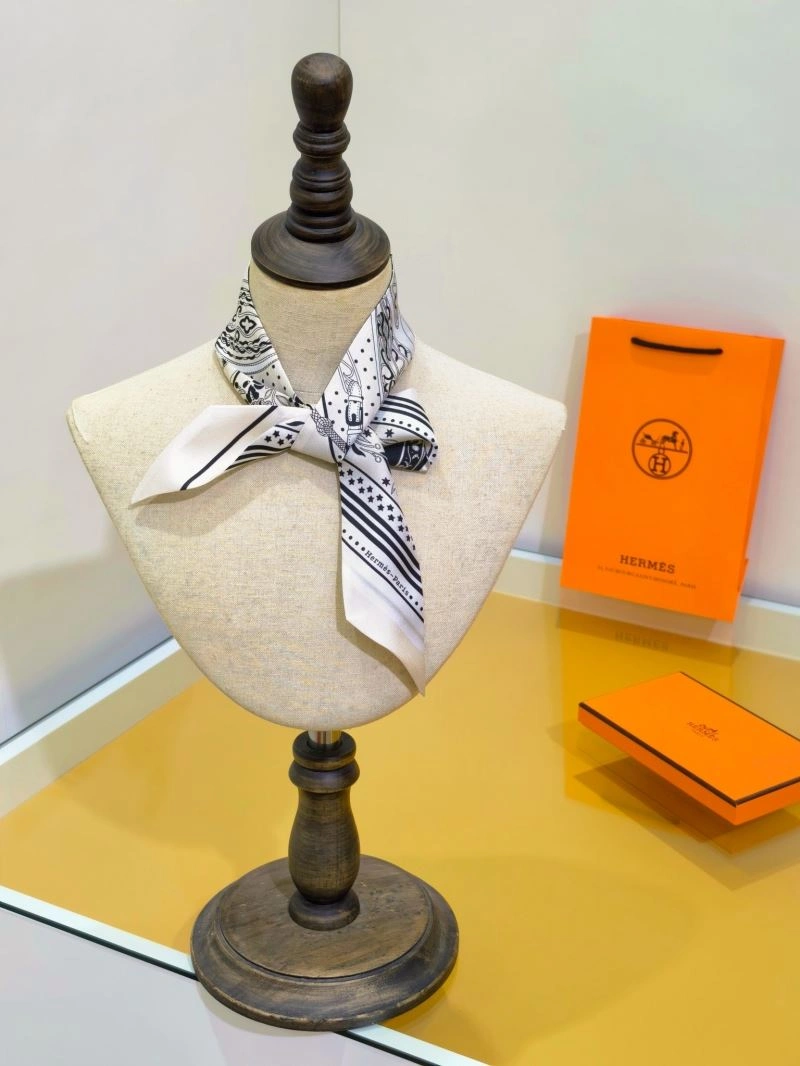 Bargain Hermes Silk