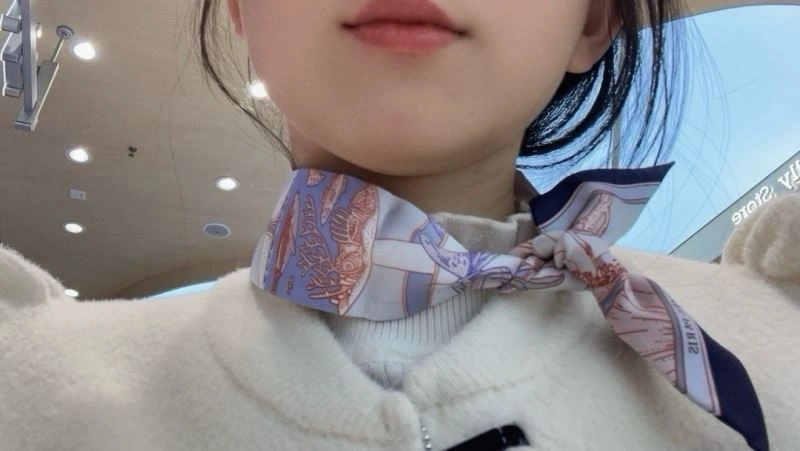 Hermes Silk