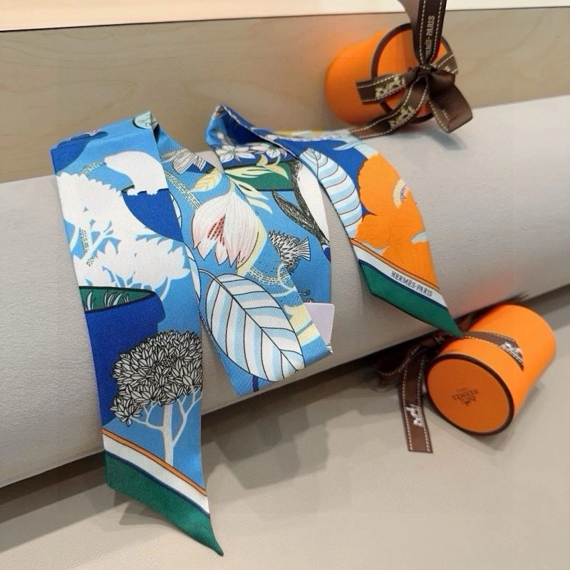 Bargain Hermes Silk