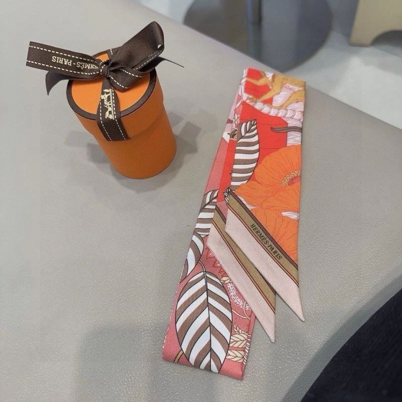 Affordable Hermes Silk