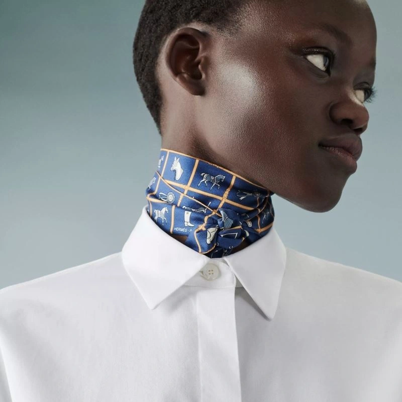 Cut-rate Hermes Silk