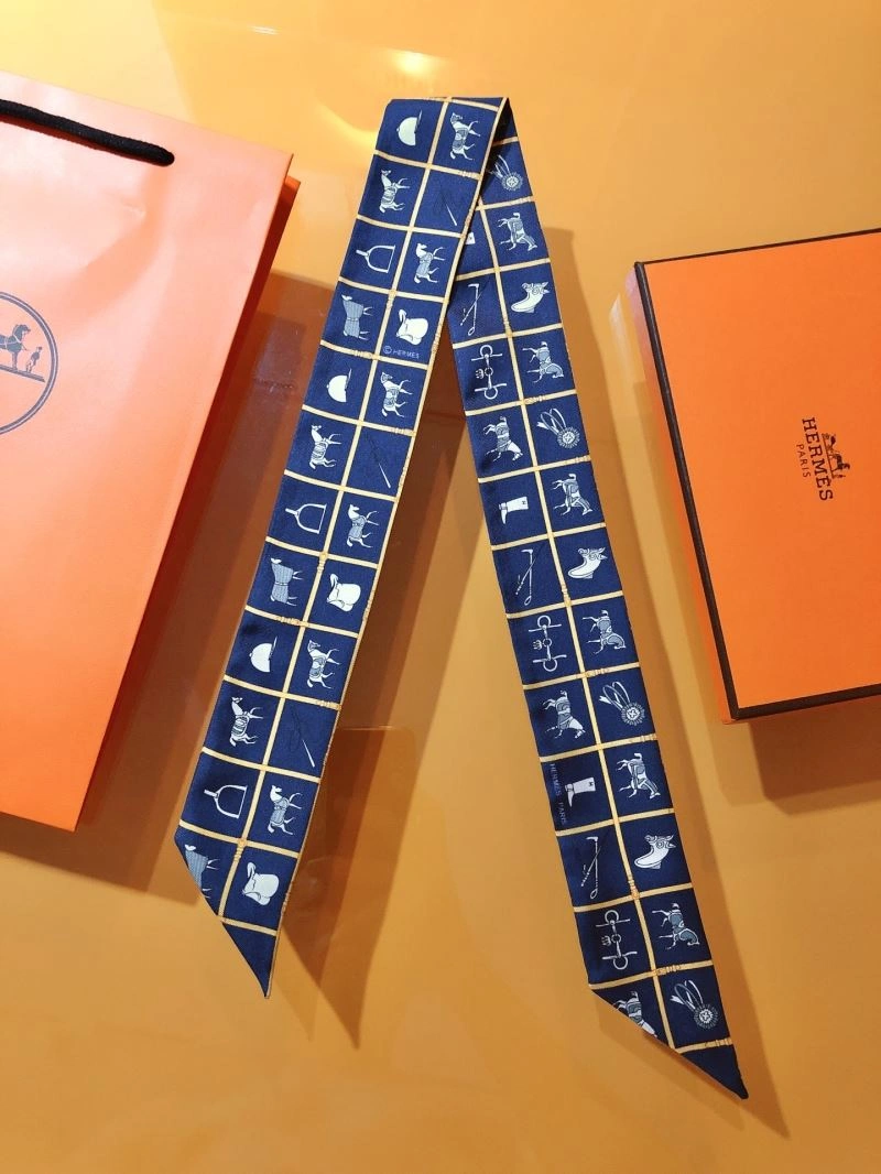 Cut-rate Hermes Silk