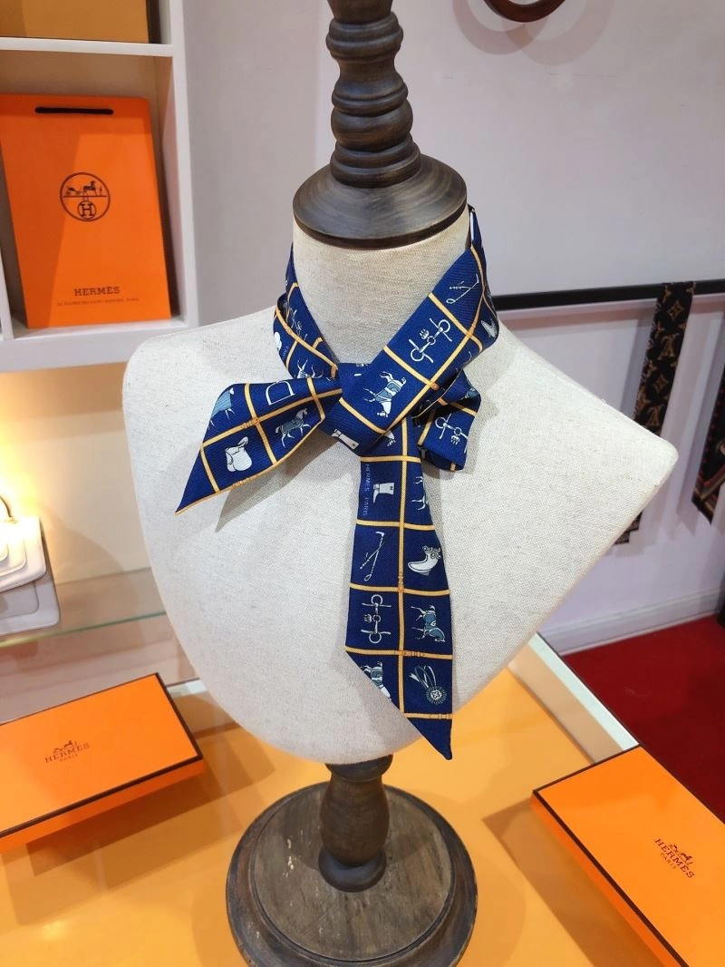 Cut-rate Hermes Silk