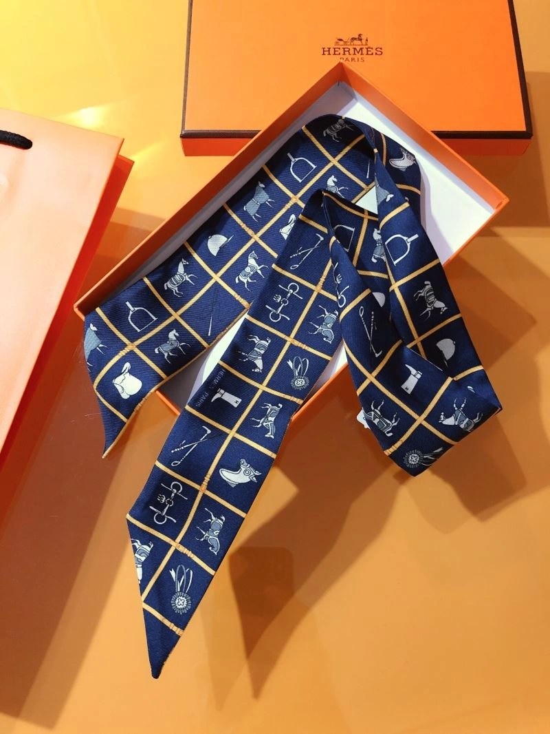 Cut-rate Hermes Silk