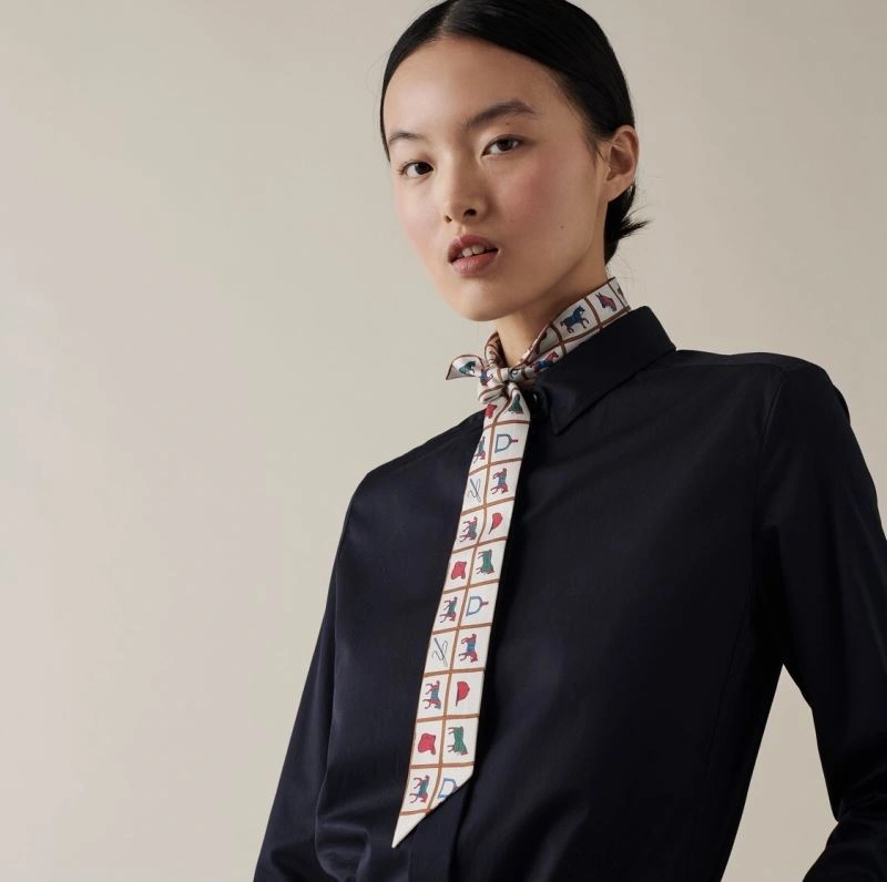 Hermes Silk