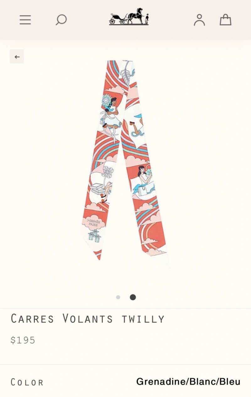 Hermes Silk