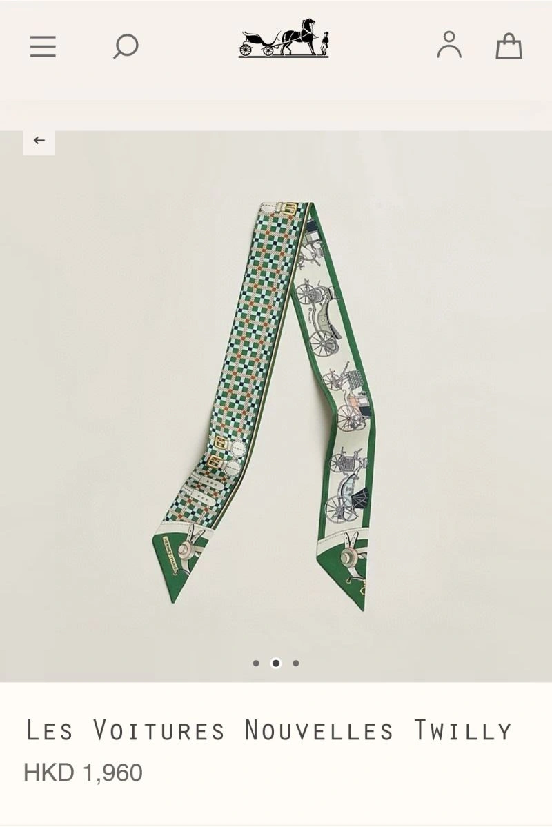 Hermes Silk