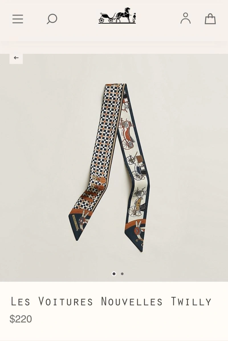 Hermes Silk