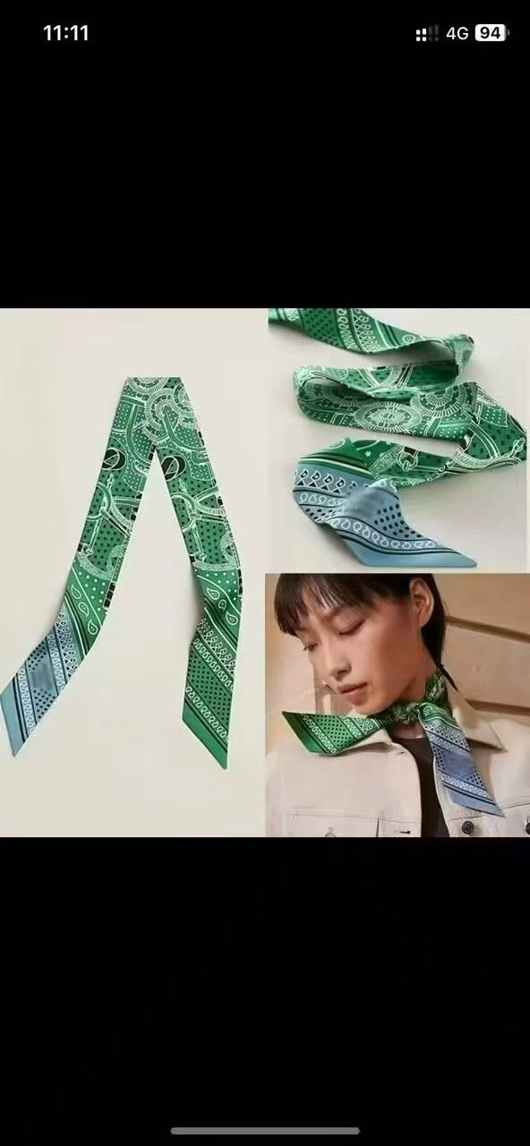 Hermes Silk