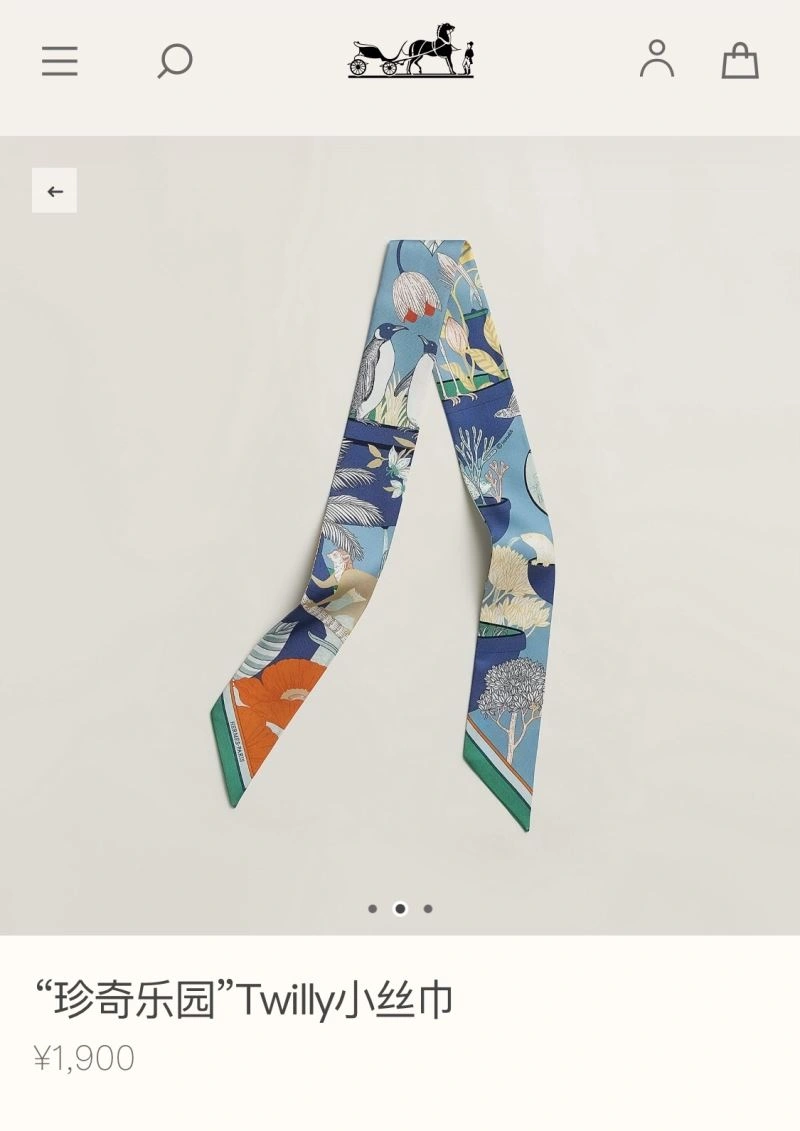Hermes Silk