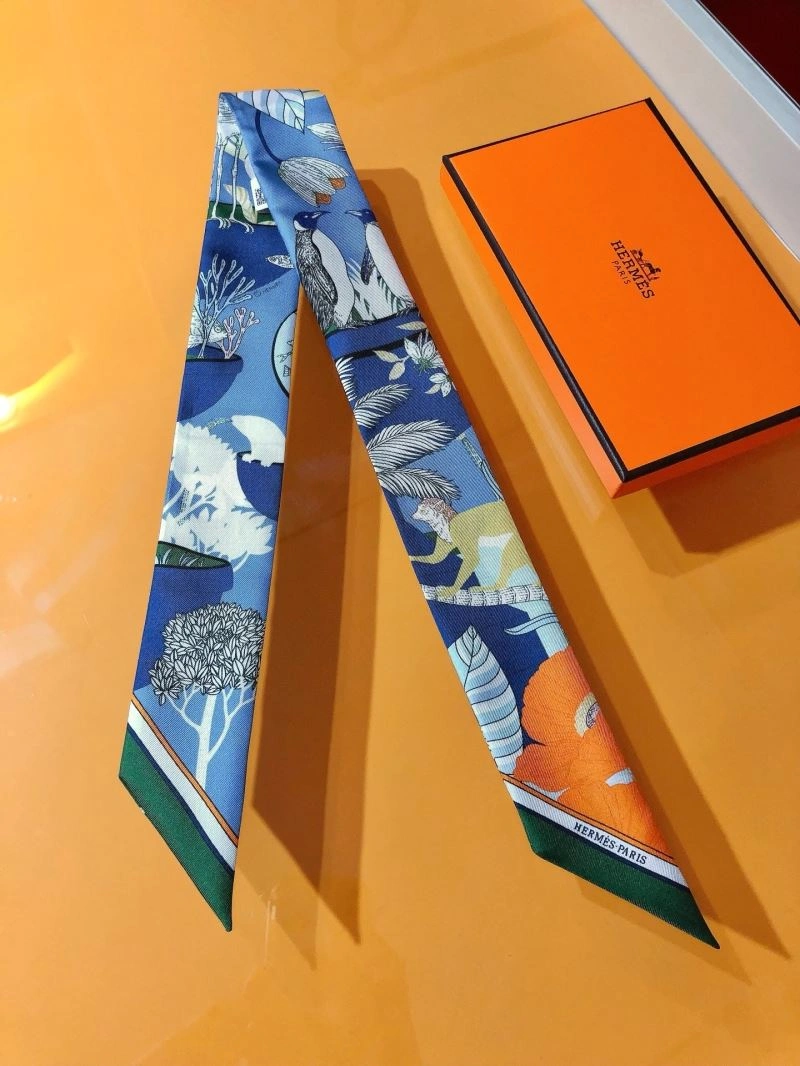 Bargain Hermes Silk