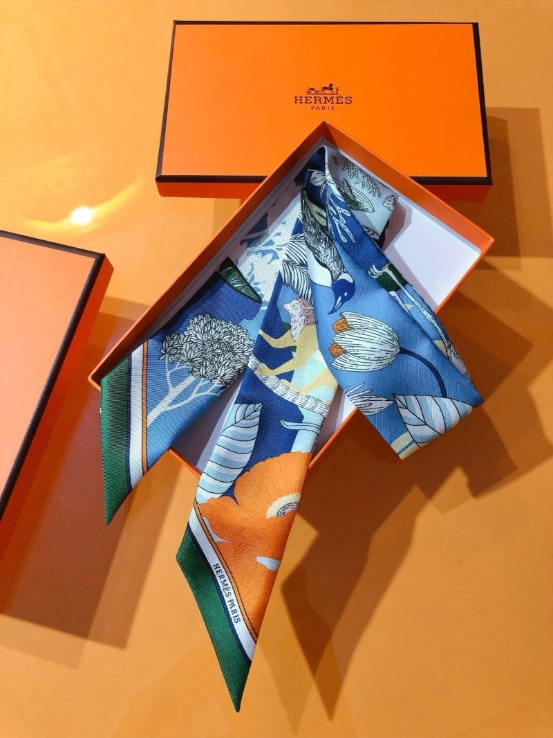 Bargain Hermes Silk