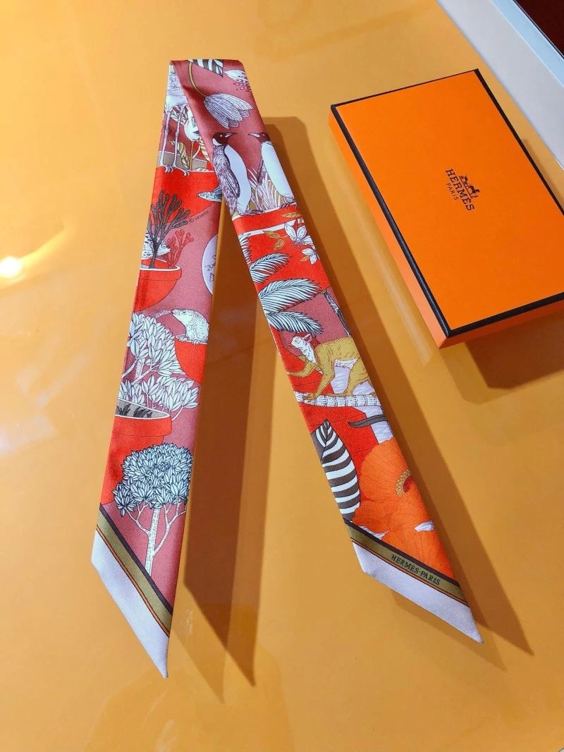 Cut-rate Hermes Silk