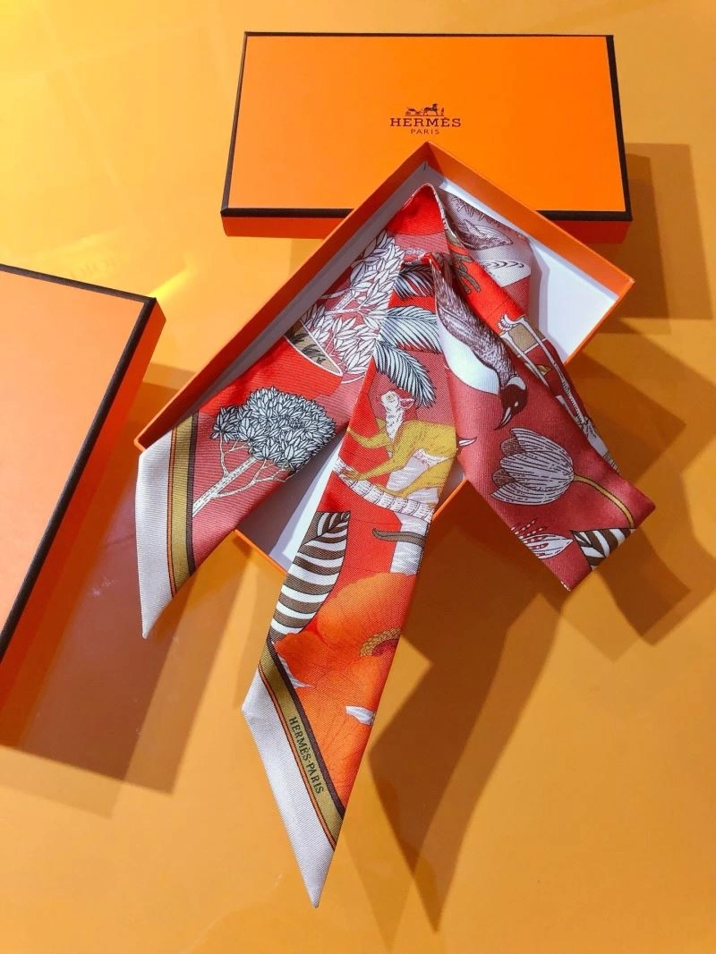 Cut-rate Hermes Silk
