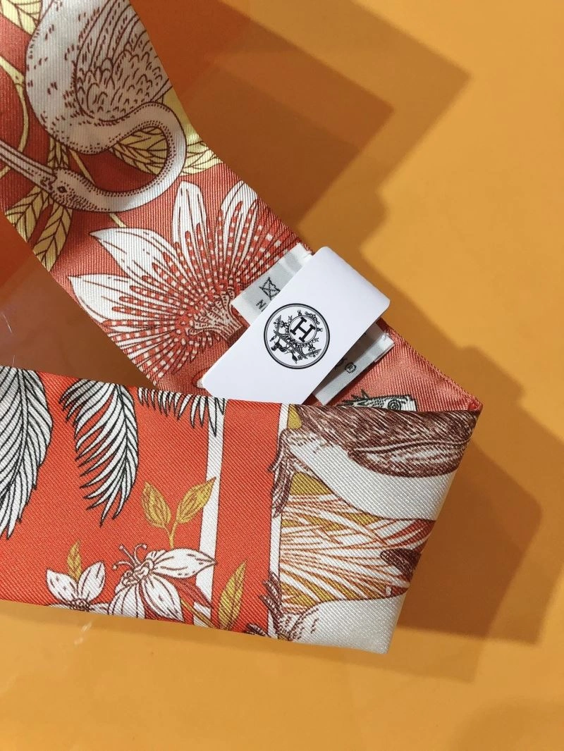 Cut-rate Hermes Silk