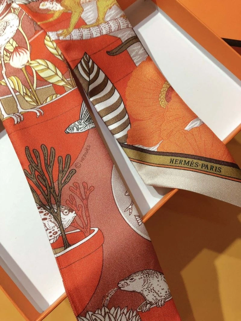 Cut-rate Hermes Silk