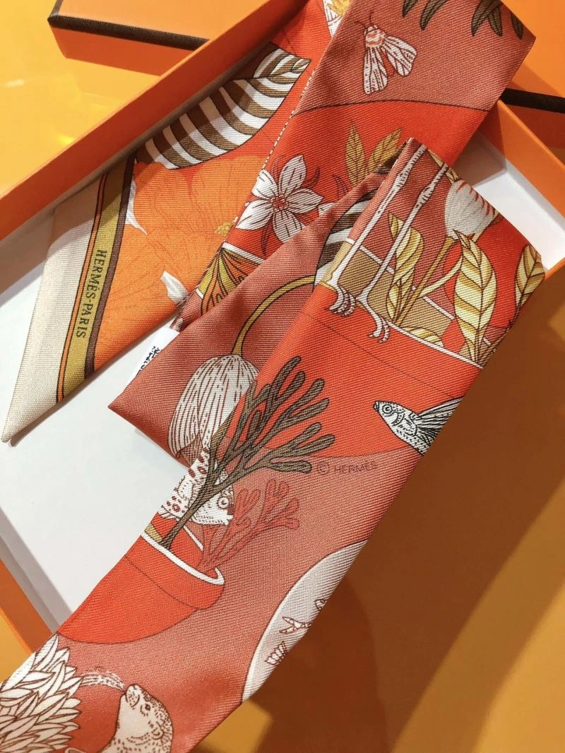 Cut-rate Hermes Silk