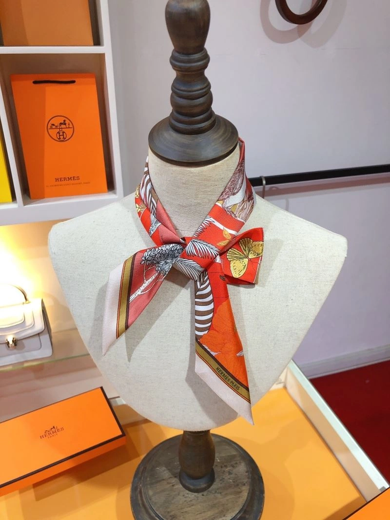 Cut-rate Hermes Silk
