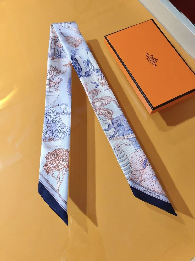 Discounted Hermes Silk