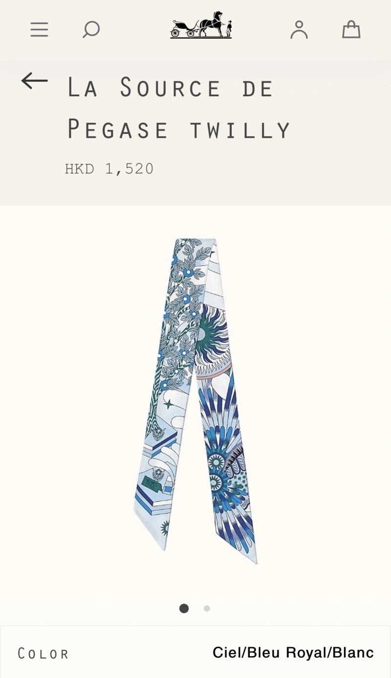 Hermes Silk