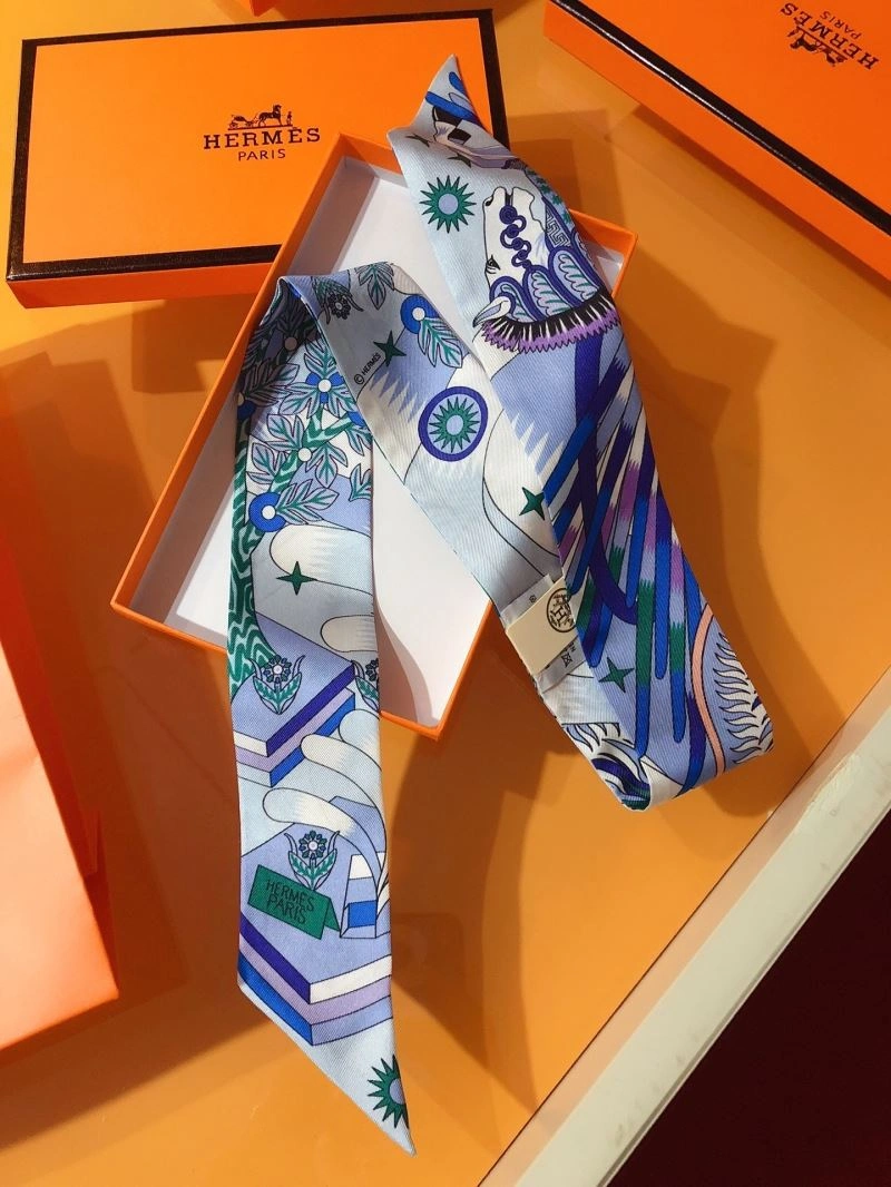 Reasonably priced Hermes Silk