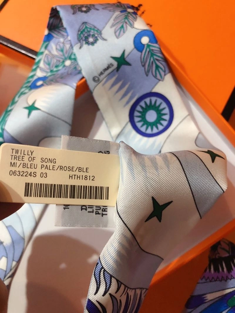 Reasonably priced Hermes Silk