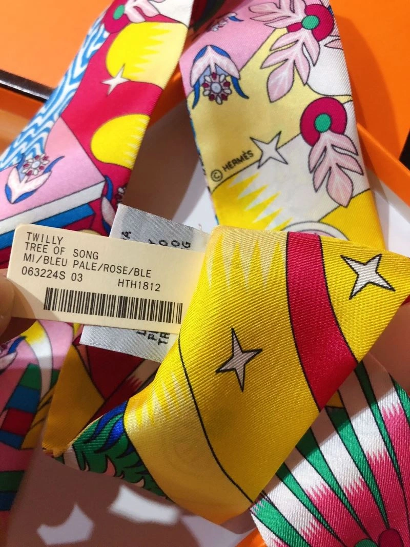 Inexpensive Hermes Silk