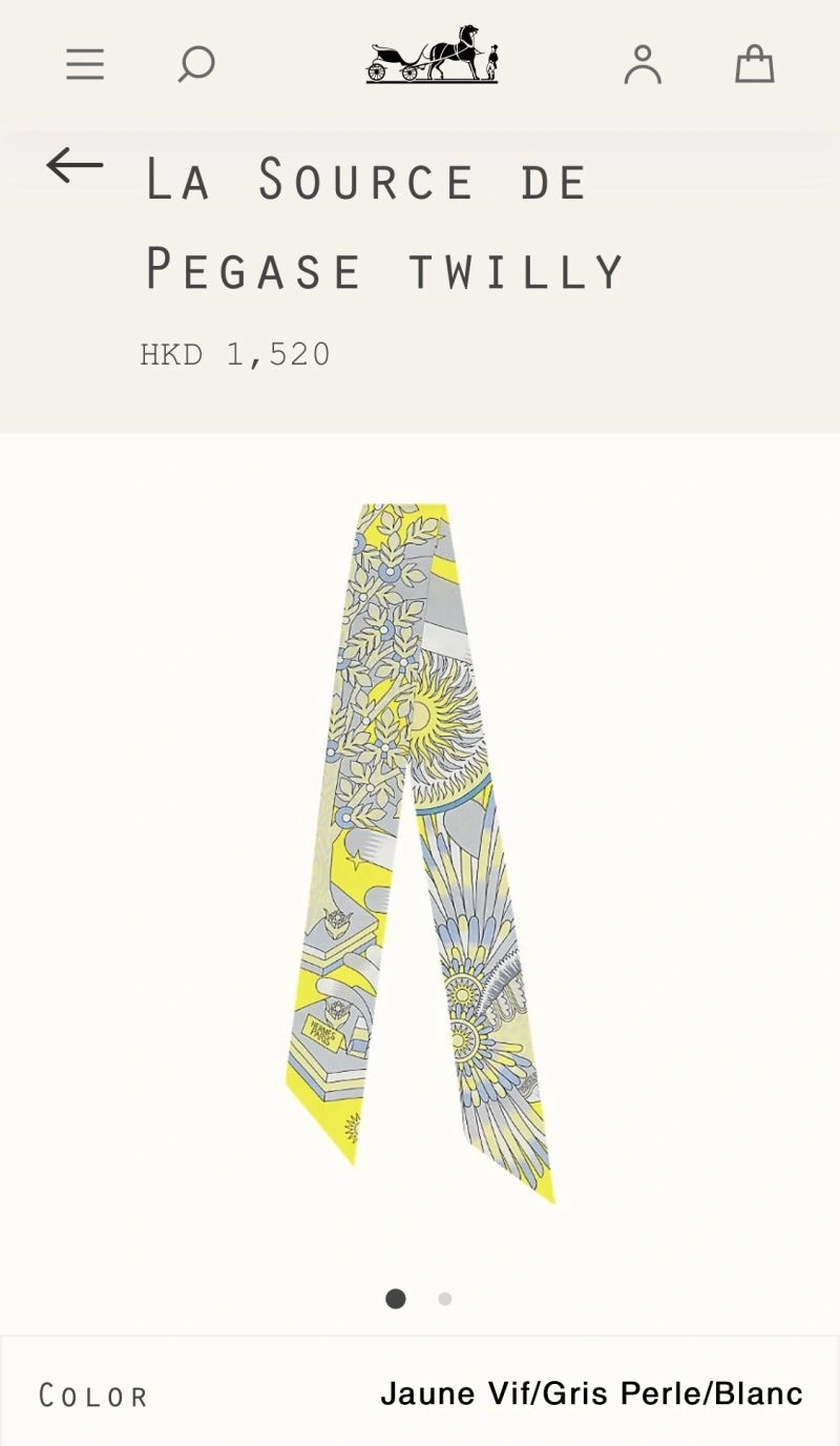 Hermes Silk