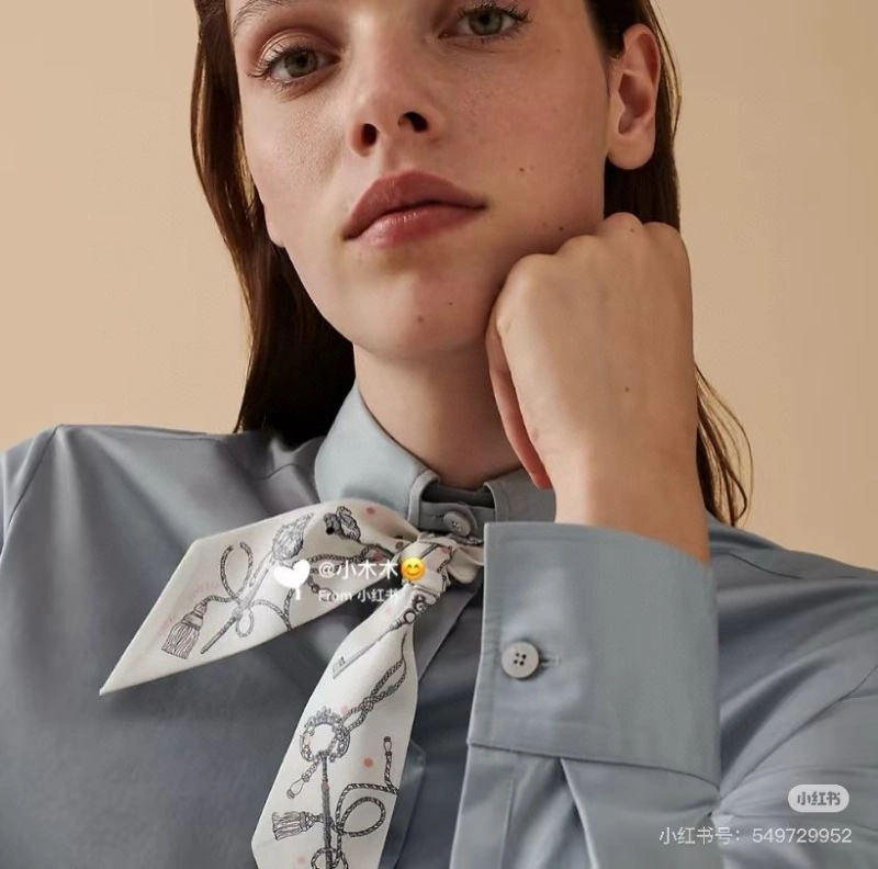 Hermes Silk