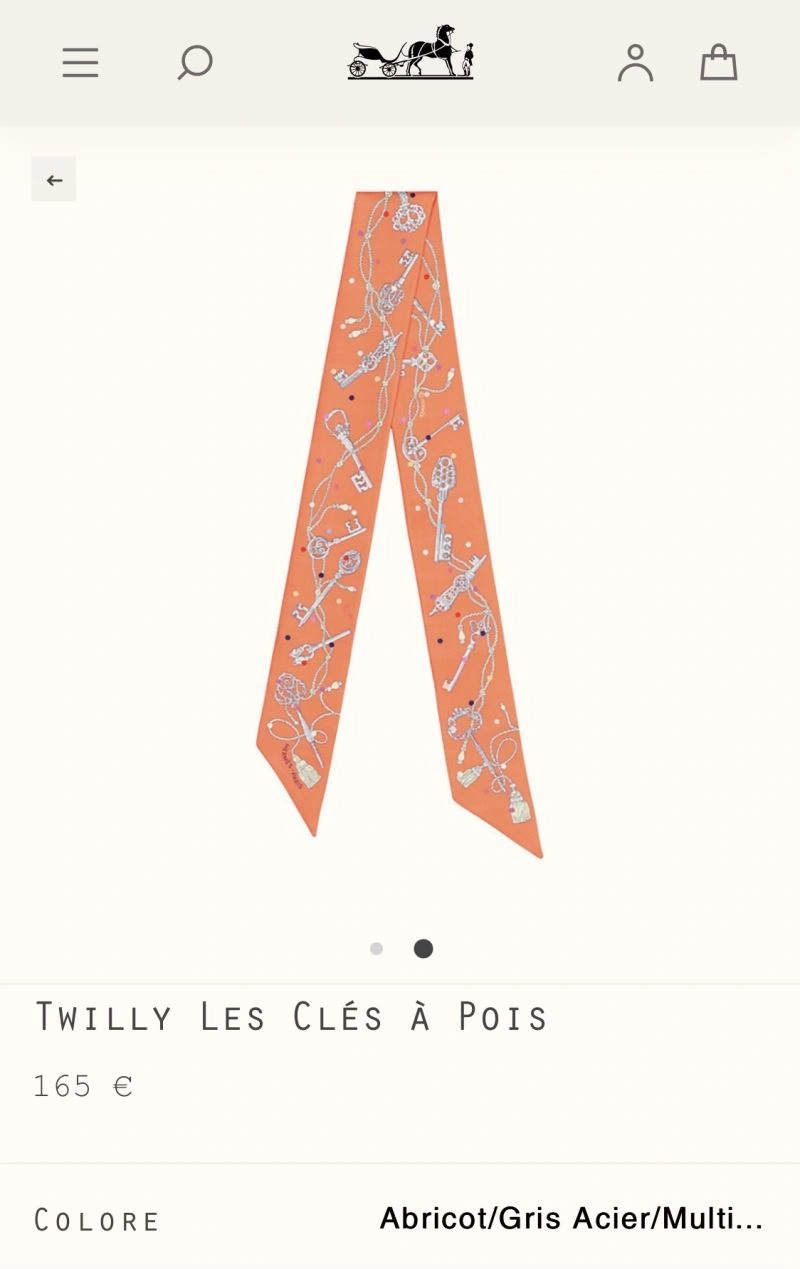 Hermes Silk