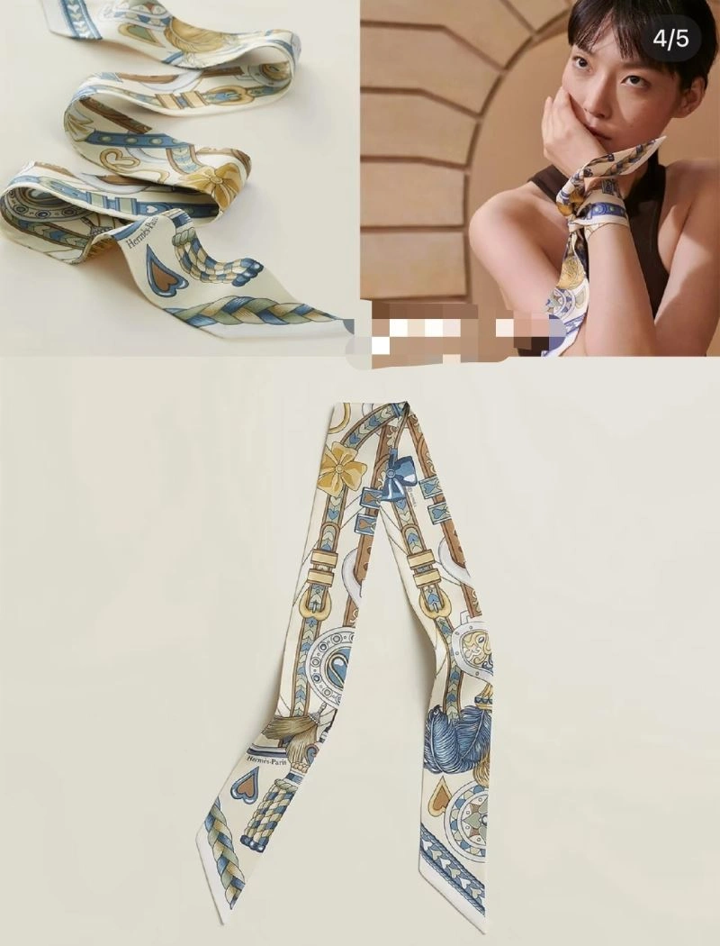 Hermes Silk