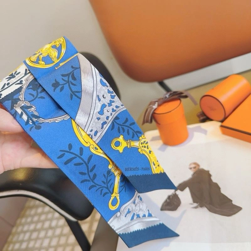 Inexpensive Hermes Silk
