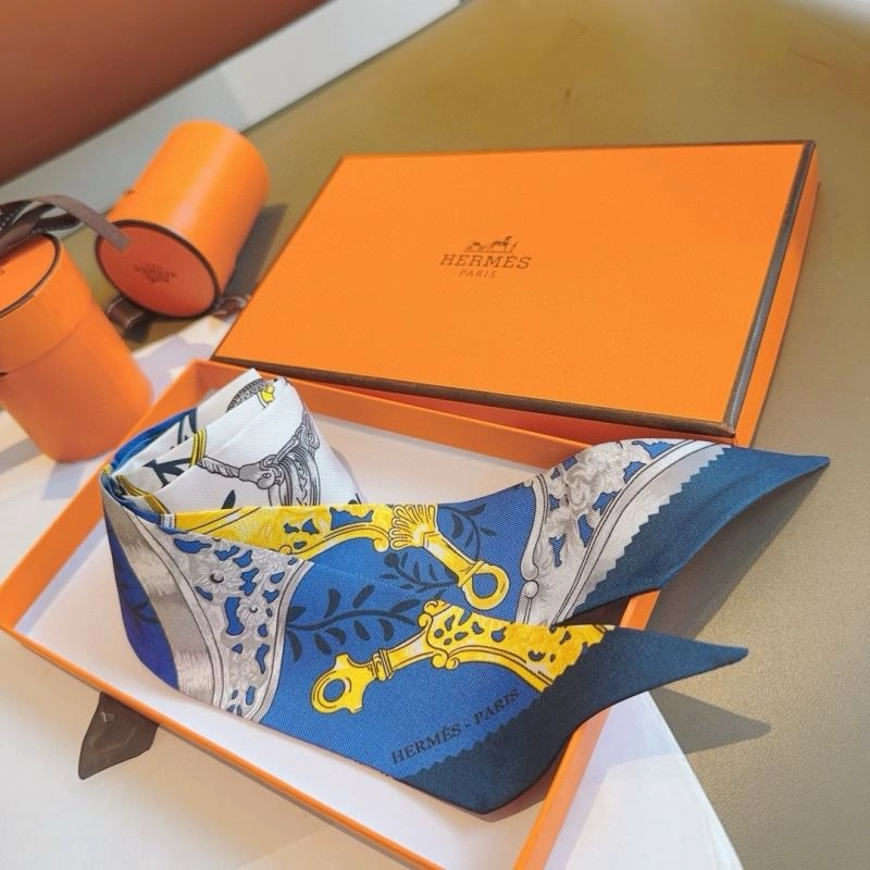 Inexpensive Hermes Silk