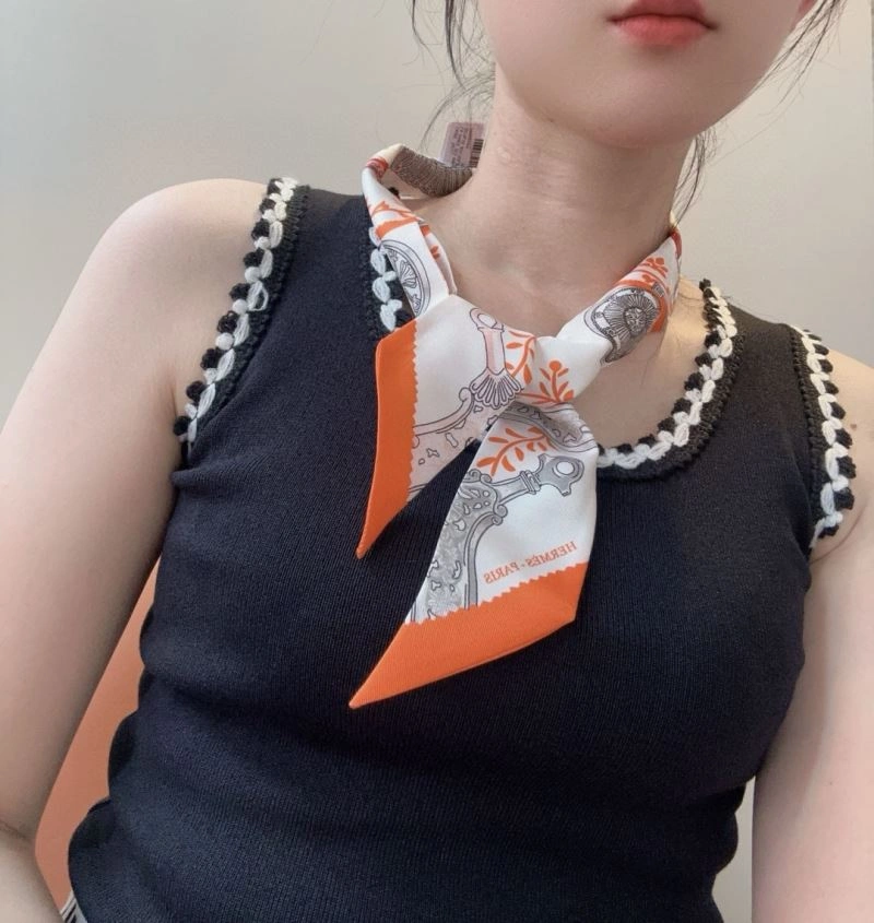 Hermes Silk