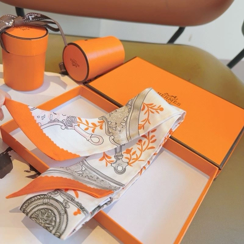 Reasonably priced Hermes Silk