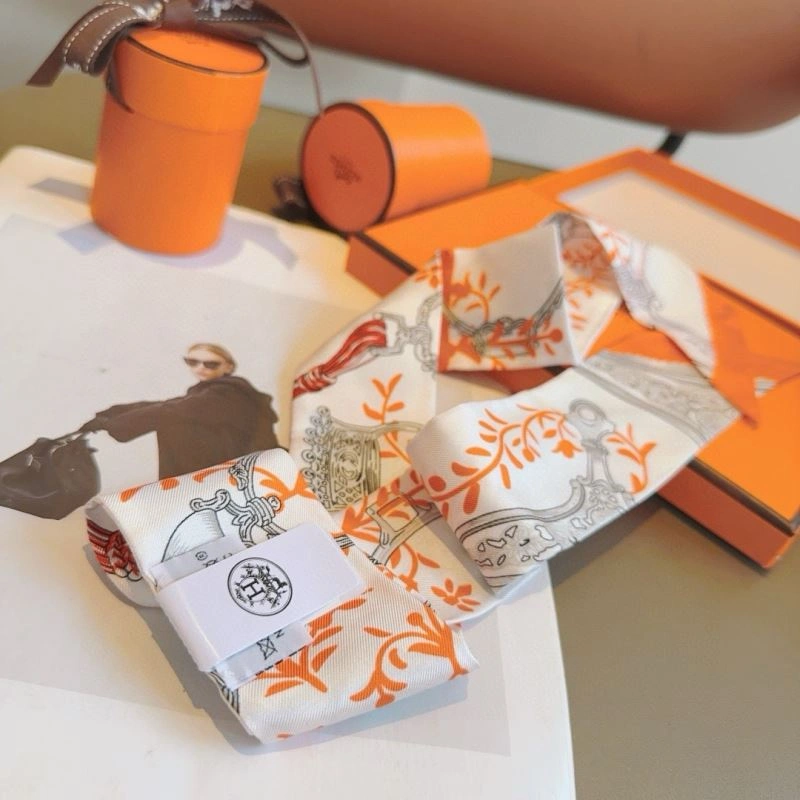 Reasonably priced Hermes Silk