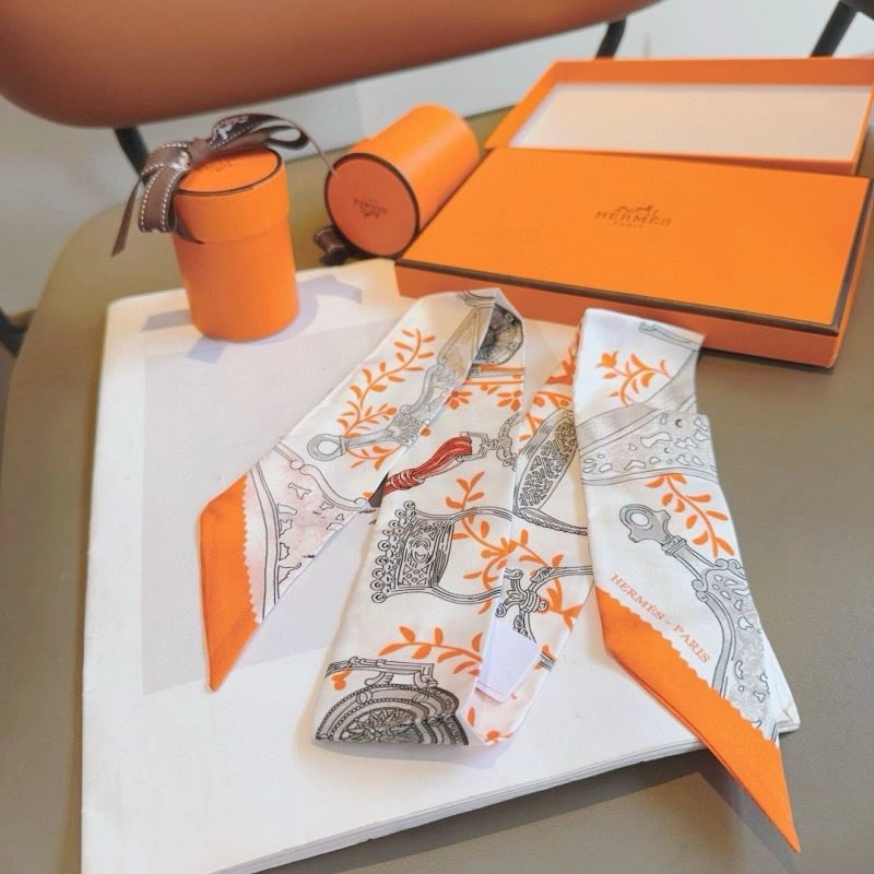 Reasonably priced Hermes Silk
