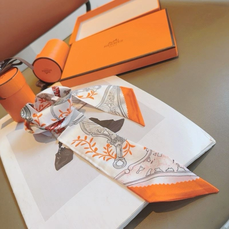 Reasonably priced Hermes Silk
