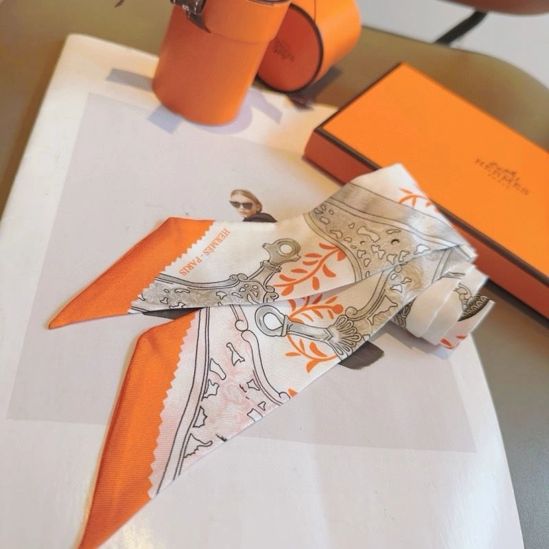 Reasonably priced Hermes Silk