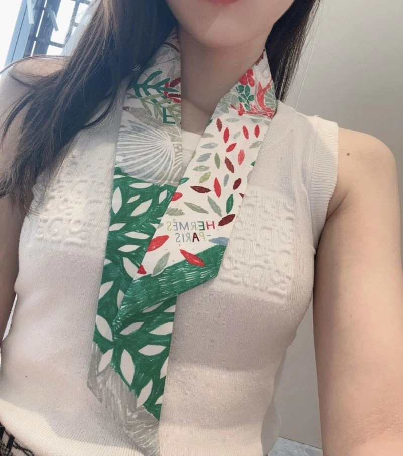 Hermes Silk