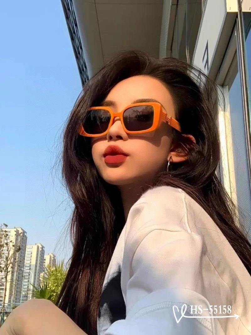 Hermes Sunglasses